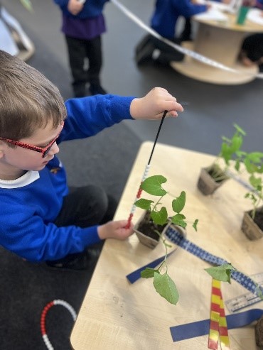 EYFS - Merlin Top Primary Academy